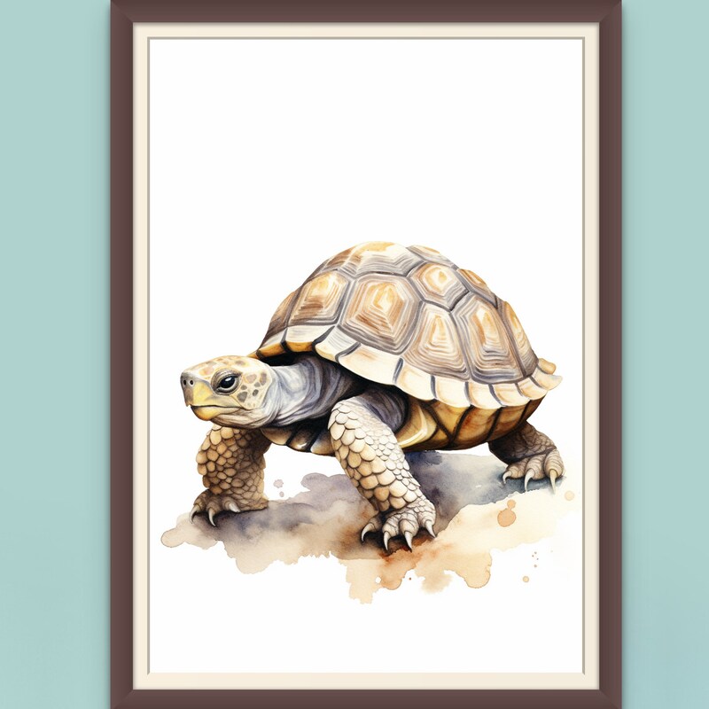 Tortoise Art - Etsy