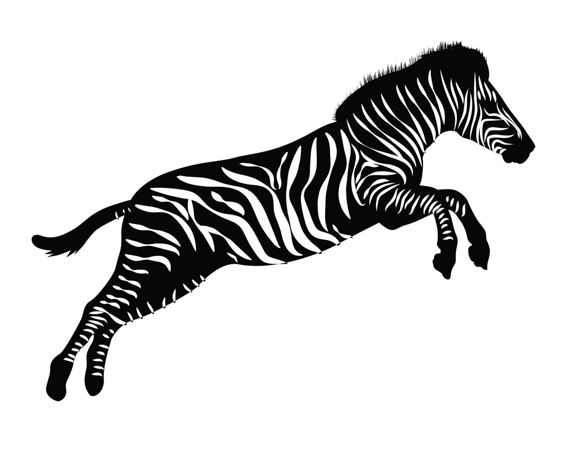 Zebra Svg Zebra Dxf Zebra Png Zebra Template Zebra Cut - Etsy