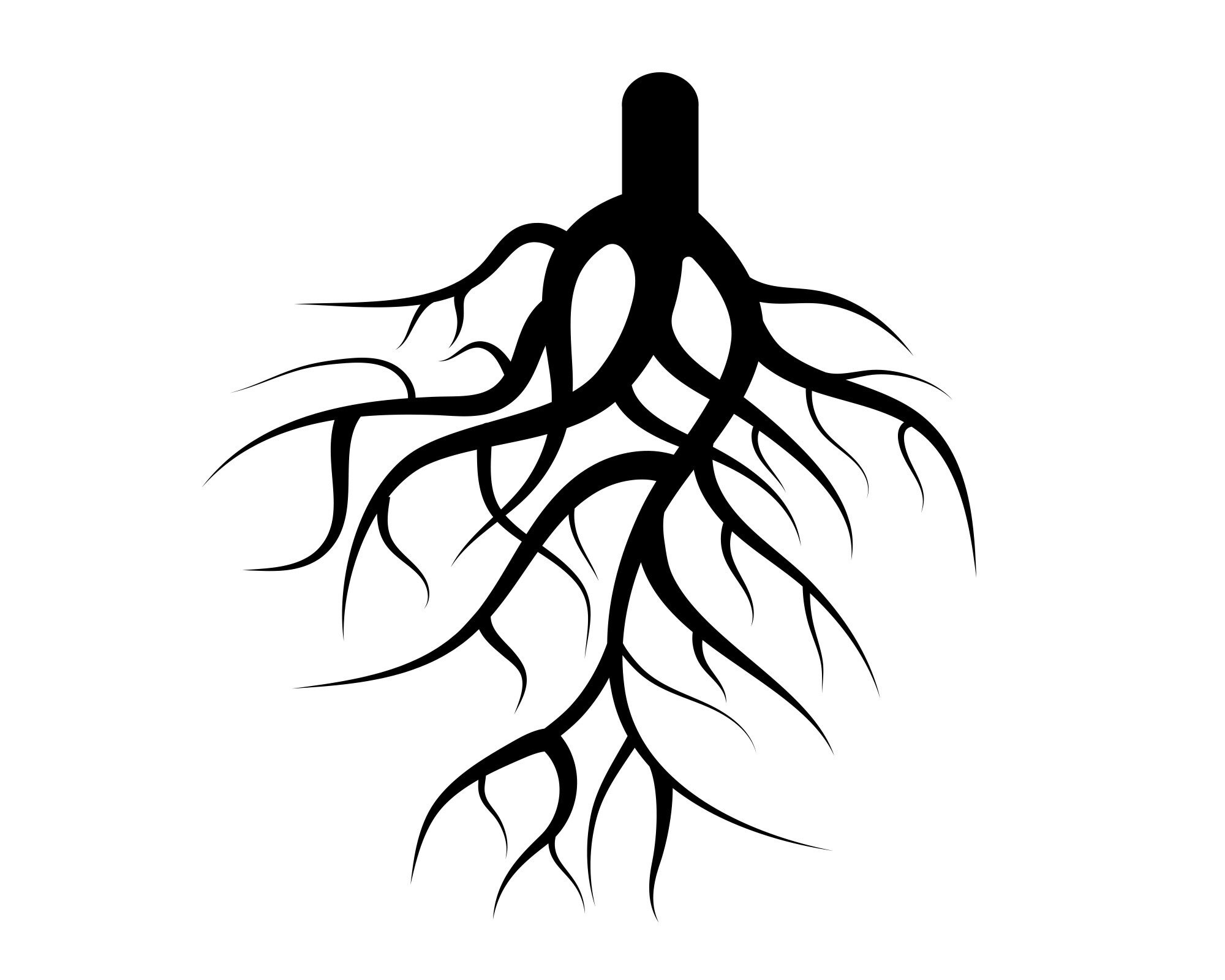 Root Svg Roots Svg Tree Roots Svg Roots Template Root Dxf - Etsy Singapore