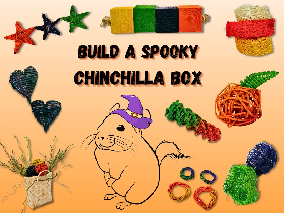 Build Your Own Chinchilla Spooky Halloween Themed Chew Toy Box ...