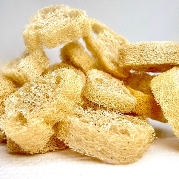 Loofah - Etsy