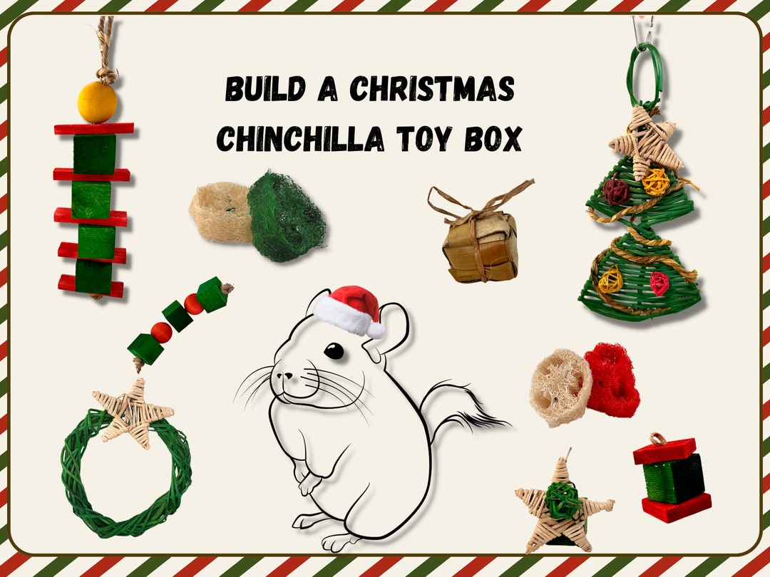 Build Your Own Chinchilla Christmas Themed Chew Toy Box Assortment ...