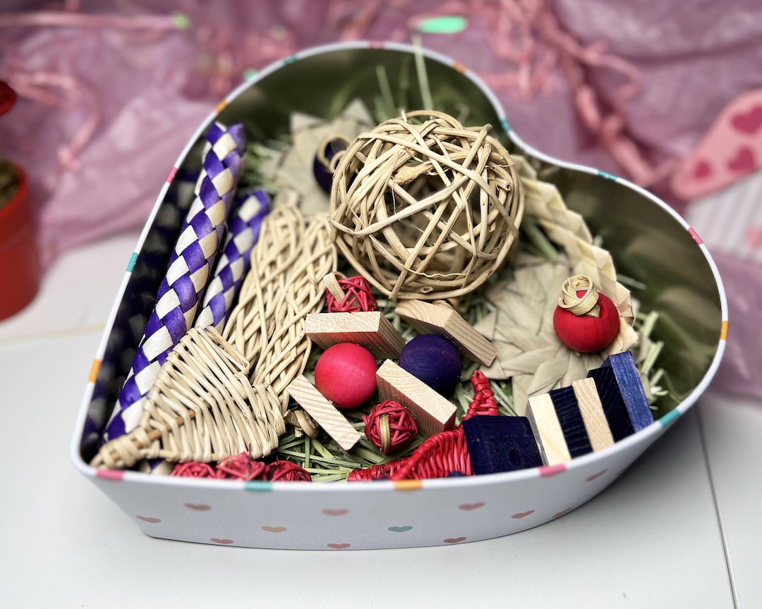 Chinchilla Chew Toy Valentines Day Filled MEGA Heart Shaped Box of ...