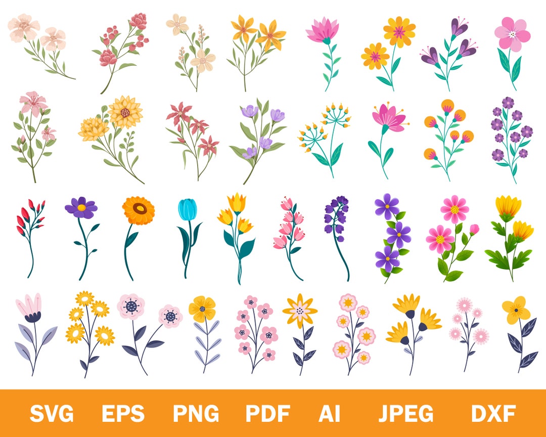36 Colored Flower Svg Bundle Flower Svg Floral Svg Bundle - Etsy Canada
