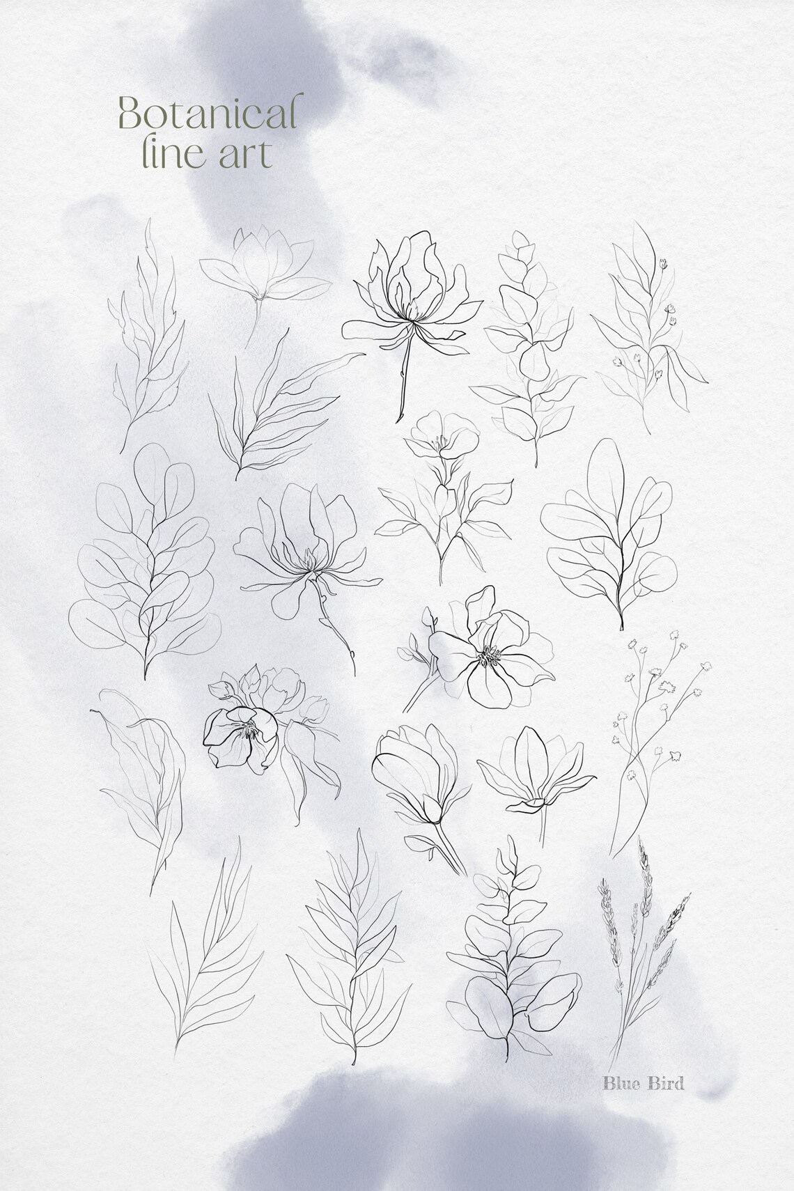 Botanical Line Art, Botanical Leaves Illustrations, Clipart Digital ...