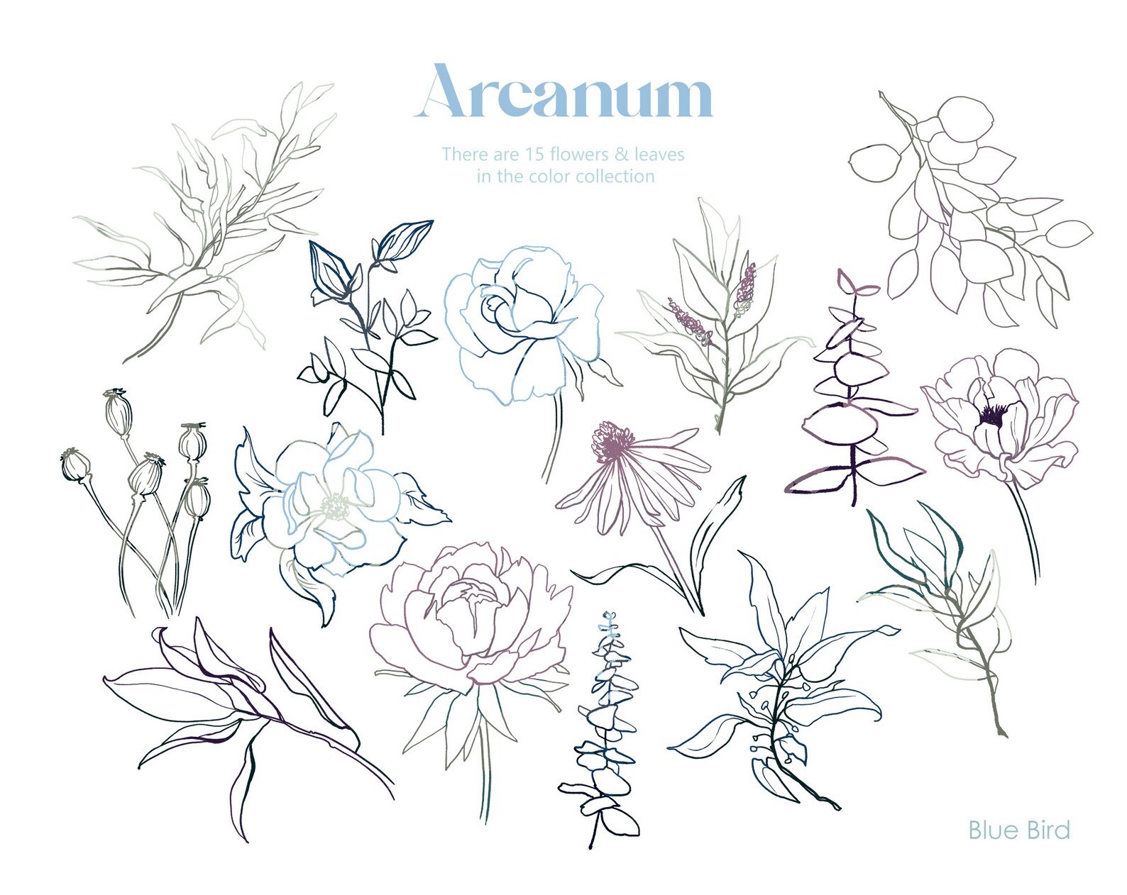 Botanical Line Art Continuous Line Art Floral Line Drawing - Etsy