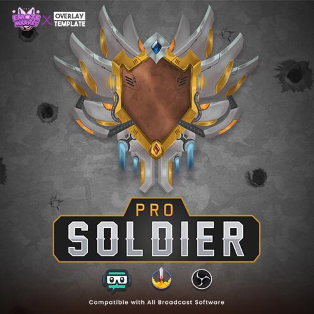 Animated Military Stream Alerts: Pro Soldier Twitch Overlay - Etsy