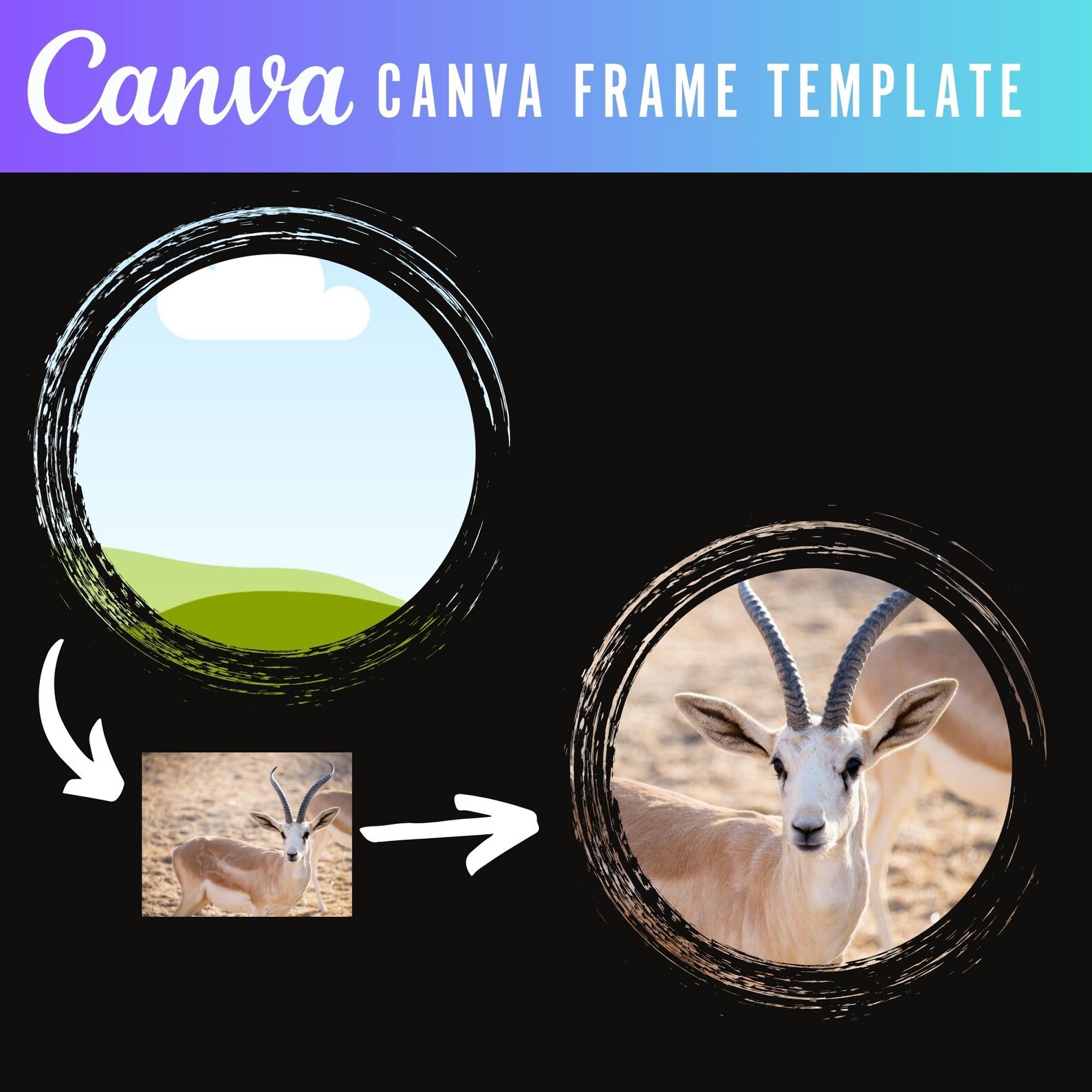 Canva Frames Vorlagen, bearbeitbare Canva-Rahmen Abstrakte Muster-Canva ...