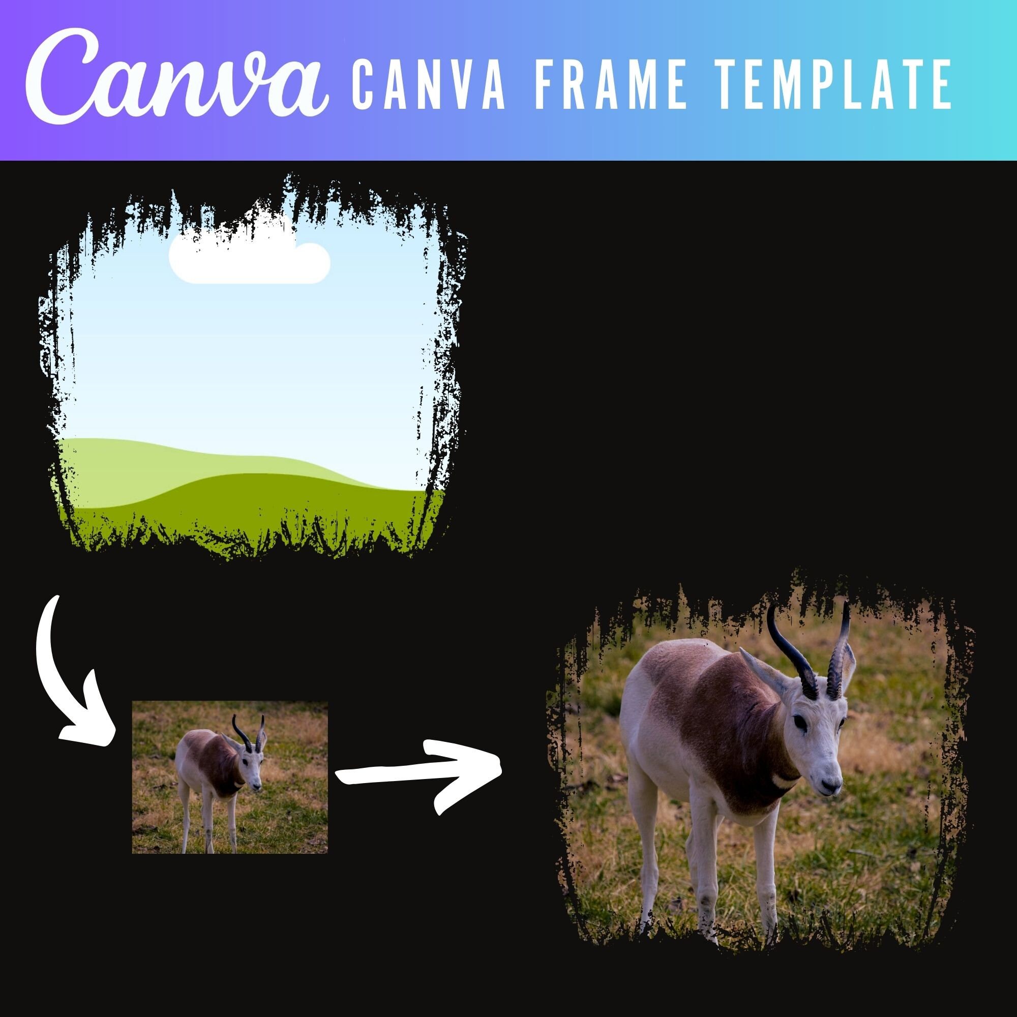 Canva Frames Templates Editable Canva Frames Abstract - Etsy Australia