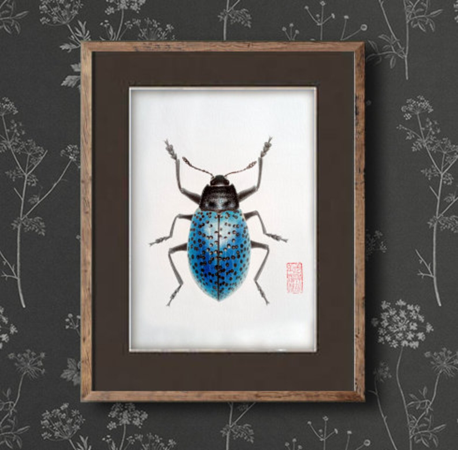 Scientific Illustration, Beetle Illustration, Blue Beetle, Original ...