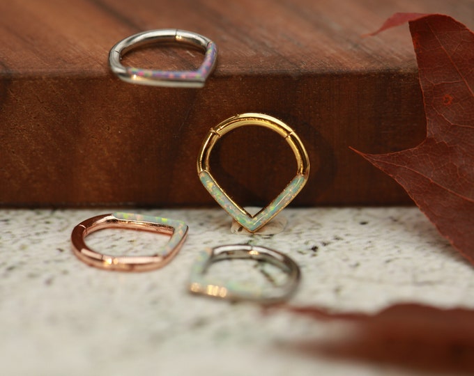 Septum Ring Jewelry Piercing Clicker Nose Ring Hoop Nose Hoop Stud ...