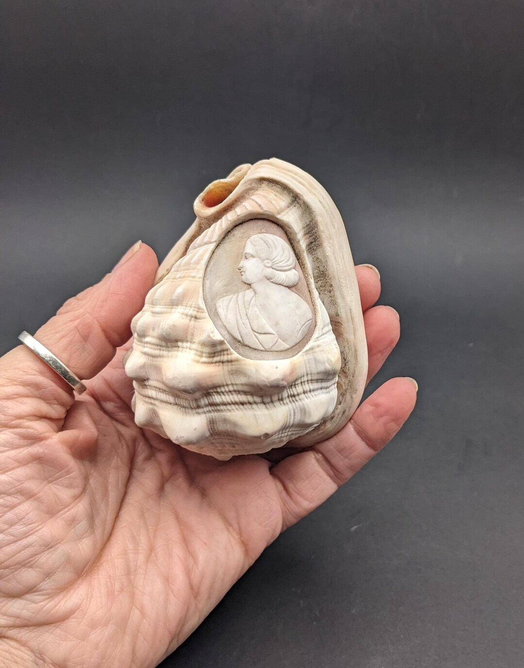Conch Shell CAMEO of Elegant Victorian Lady, Handcarved Seashell Art ...