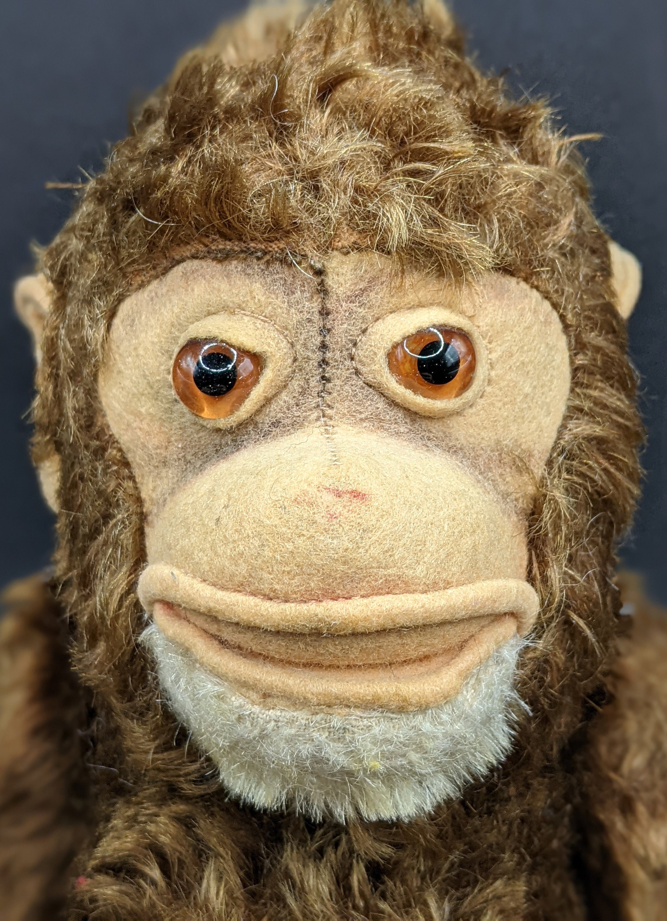 STEIFF JOCKO Monkey 1950's German Sitting Mohair - Etsy UK