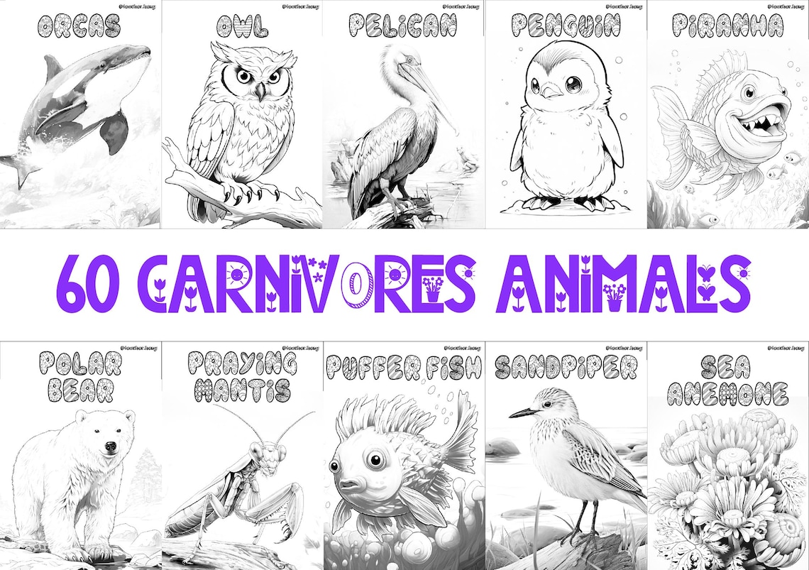 60 Carnivore Animals Coloring Sheets | Fun Animal Themed Printable ...