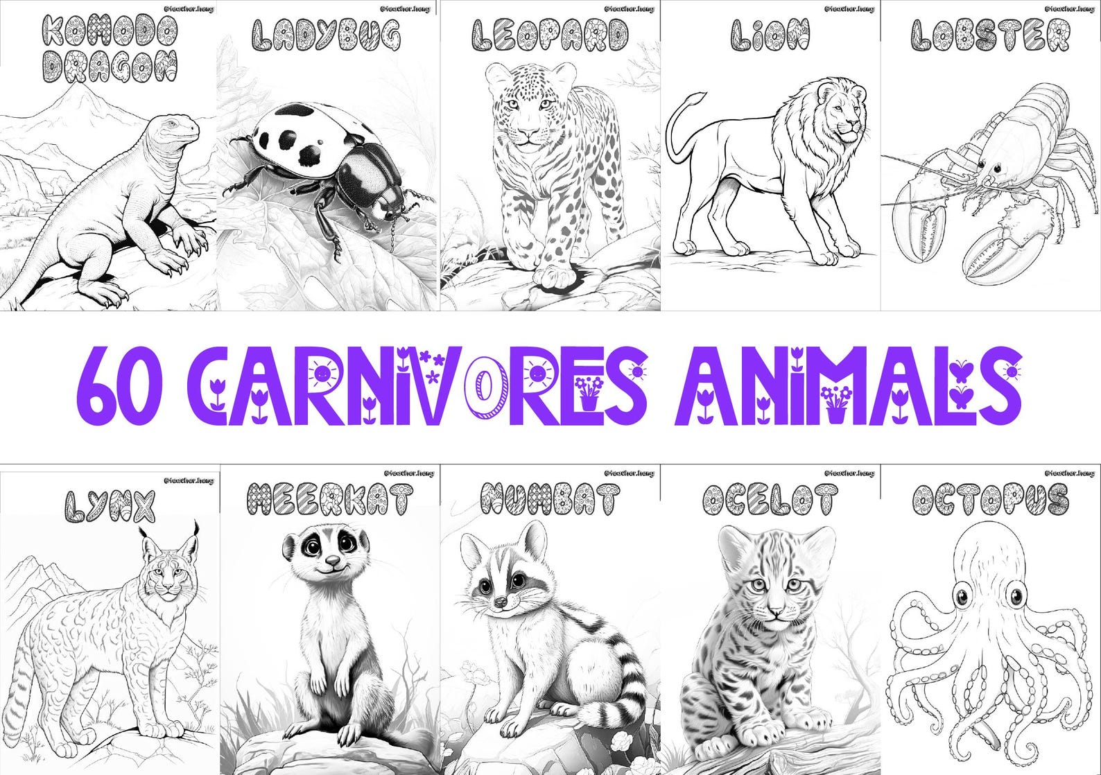 60 Carnivore Animals Coloring Sheets | Fun Animal Themed Printable ...