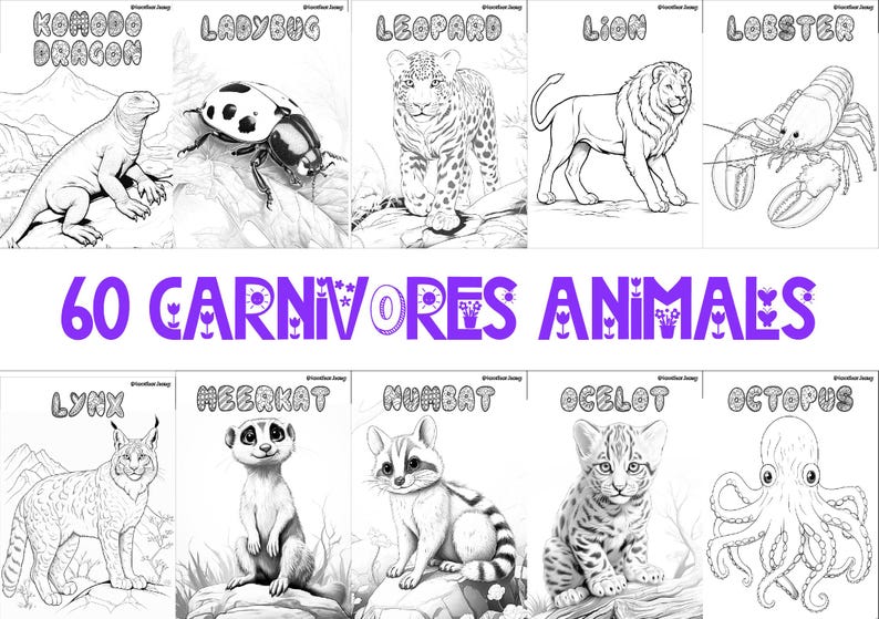 60 Carnivore Animals Coloring Sheets | Fun Animal Themed Printable ...