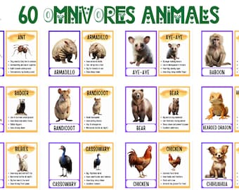 60 Carnivore Animal Flashcards | Kids Learning Flash Cards ...