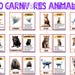 60 Carnivore Animal Flashcards | Kids Learning Flash Cards ...