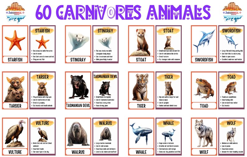 60 Carnivore Animal Flashcards | Kids Learning Flash Cards ...