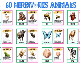 60 Carnivore Animal Flashcards | Kids Learning Flash Cards ...