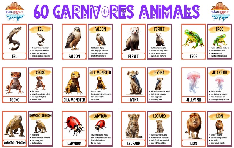 60 Carnivore Animal Flashcards | Kids Learning Flash Cards ...
