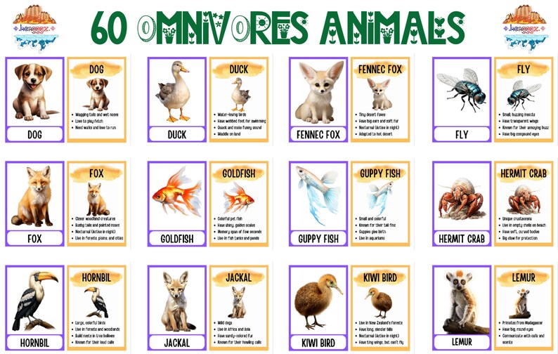 60 Omnivore Animal Flashcards | Kids Learning Flash Cards | Educational ...