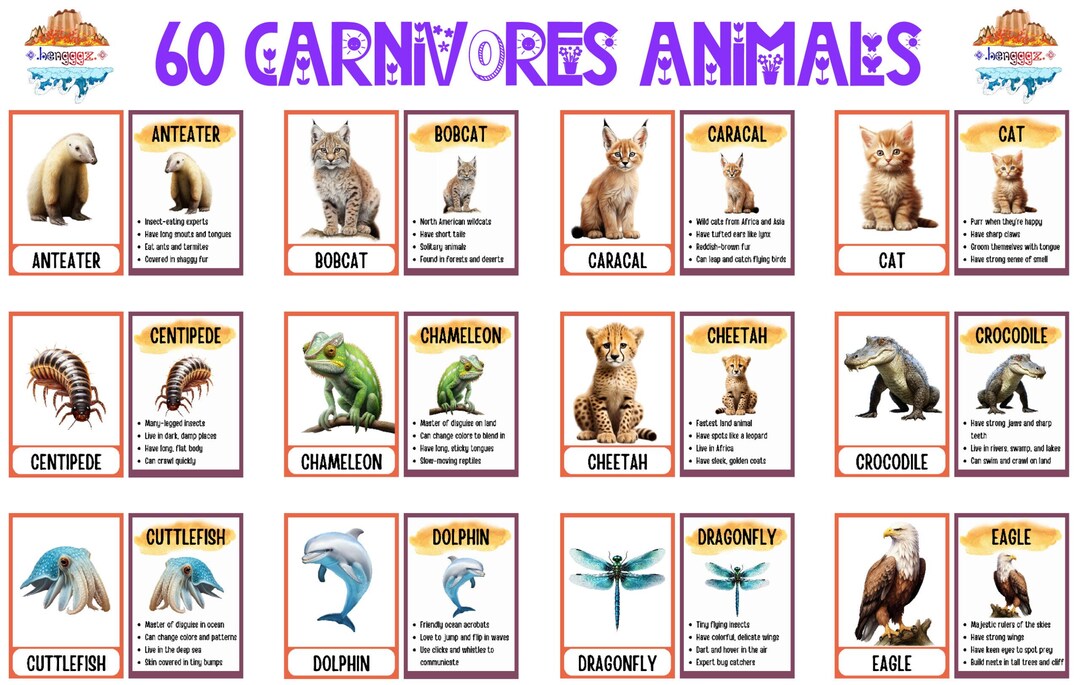 60 Carnivore Animal Flashcards | Kids Learning Flash Cards ...
