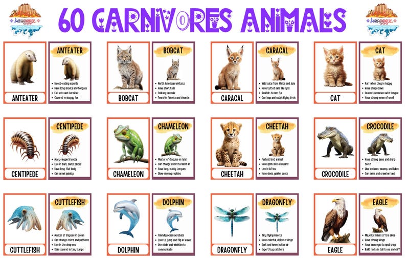 60 Carnivore Animal Flashcards | Kids Learning Flash Cards ...