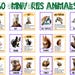 60 Omnivore Animal Flashcards | Kids Learning Flash Cards | Educational ...