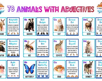 60 Carnivore Animal Flashcards | Kids Learning Flash Cards ...