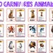 60 Carnivore Animal Flashcards | Kids Learning Flash Cards ...