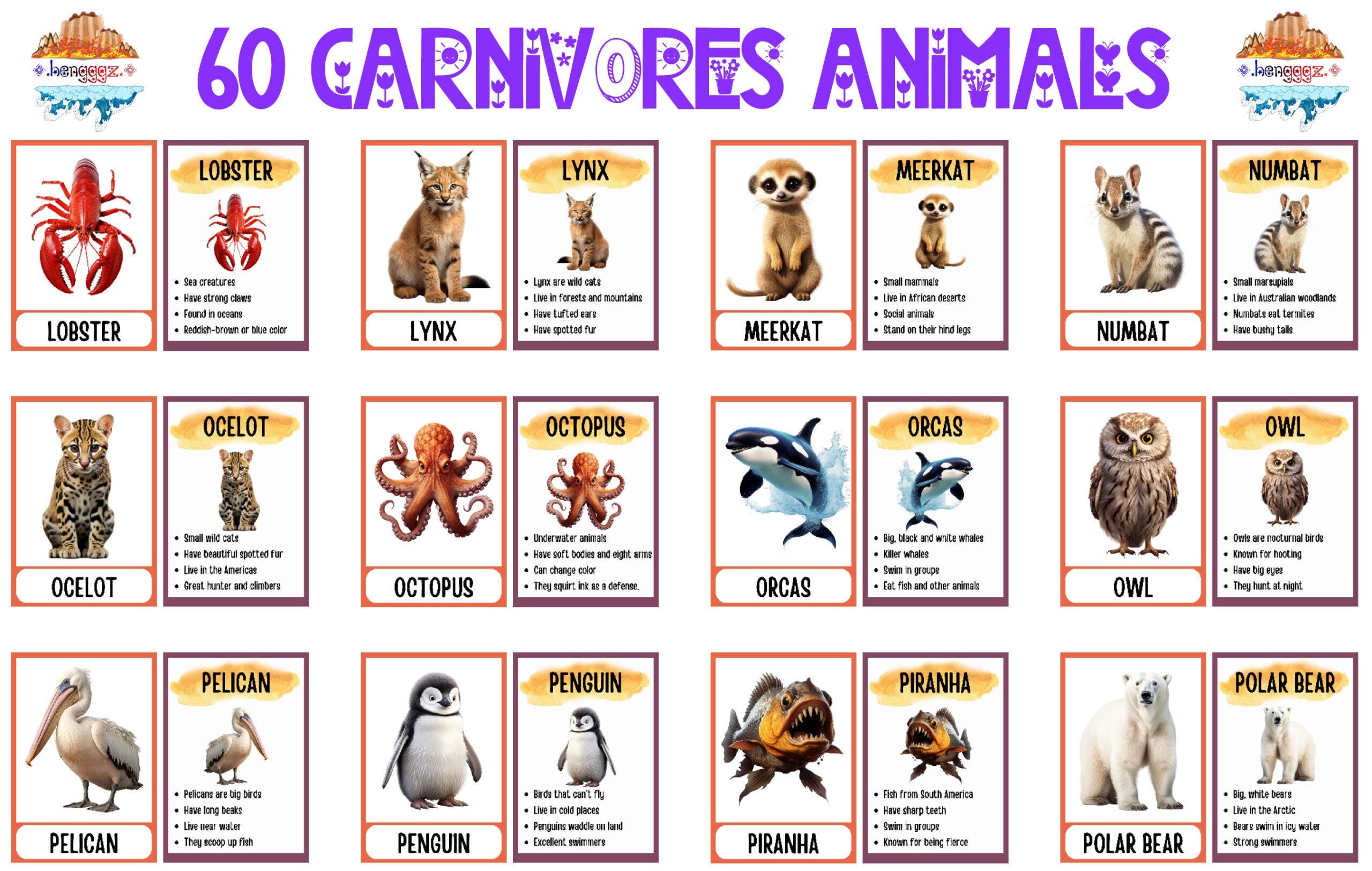 60 Carnivore Animal Flashcards | Kids Learning Flash Cards ...