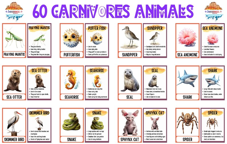 60 Carnivore Animal Flashcards | Kids Learning Flash Cards ...