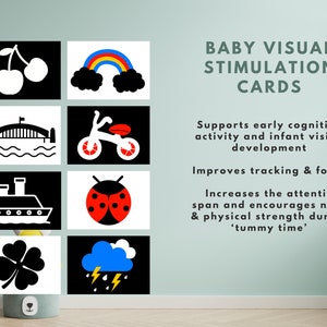 Bundle of High Contrast Baby Sensory Flash Cards, Baby Sensory Black ...