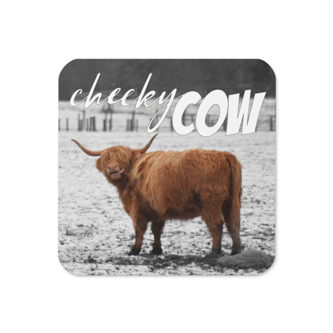 Cheeky Cow Highland Cow Coaster Scottish Gift - Etsy