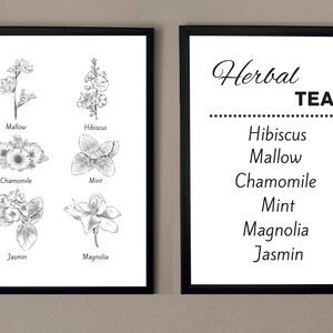 Herbal Tea Poster Set of 6 Kitchen Wall Artwork Digital Download Modern ...