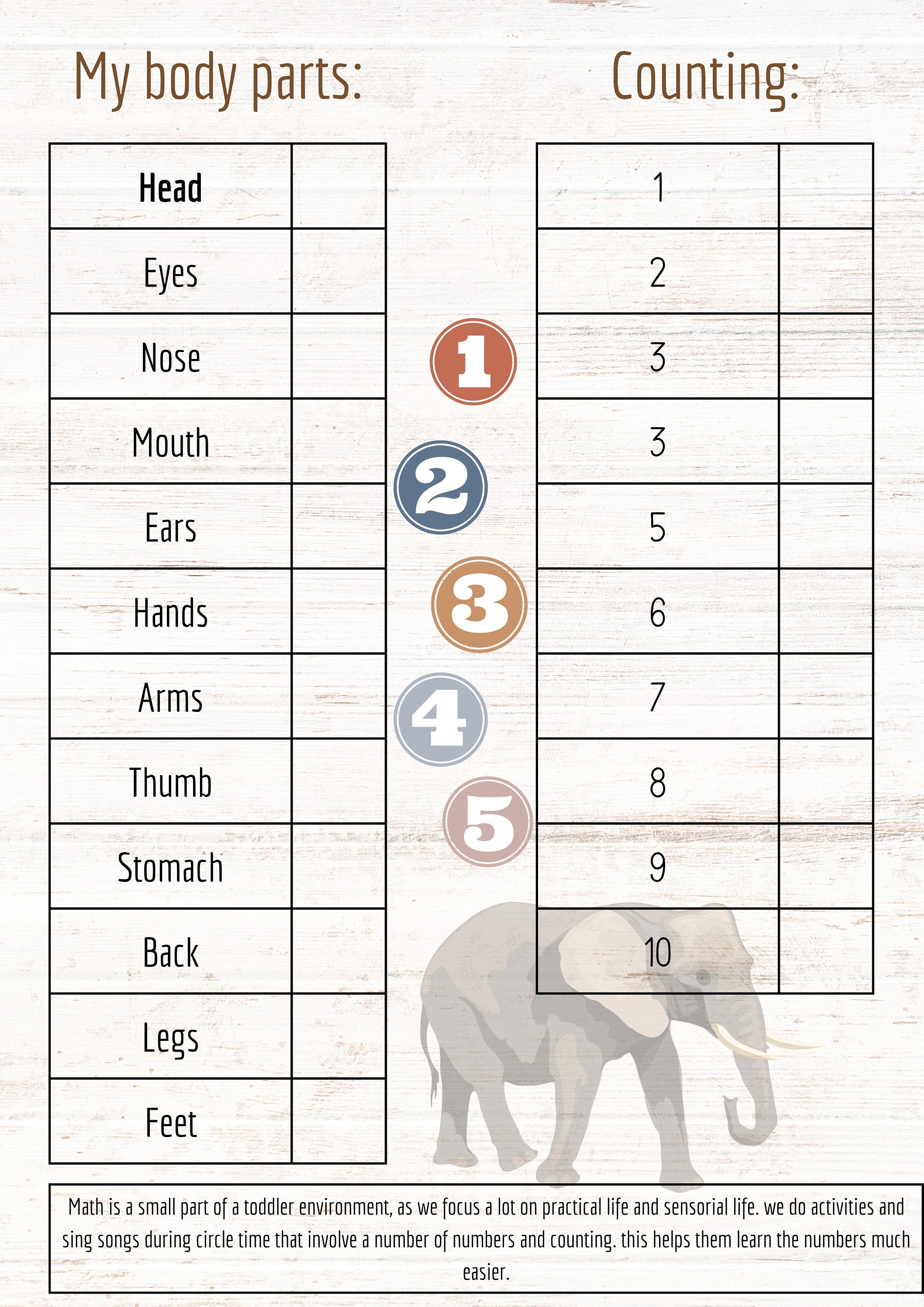 Toddler School Report, All About Me, Template, Editable, Report, Animal ...