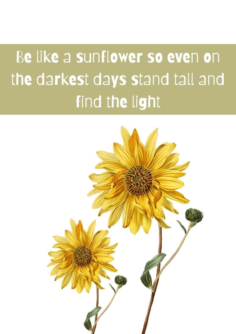 Sunflower Posters, Classroom, Bedroom, Back to School, A3 Size ...