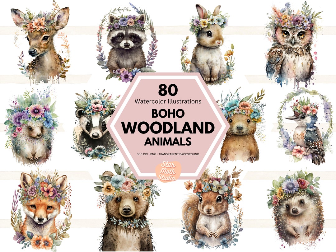 Floral Boho Woodland Animals Clipart, 80 Transparent PNG Files ...
