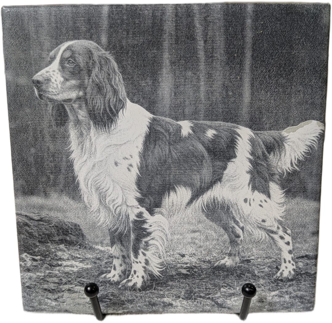 6" Laser Engraved Ceramic Tile - French Spaniel Dog Art Hunting Dog ...
