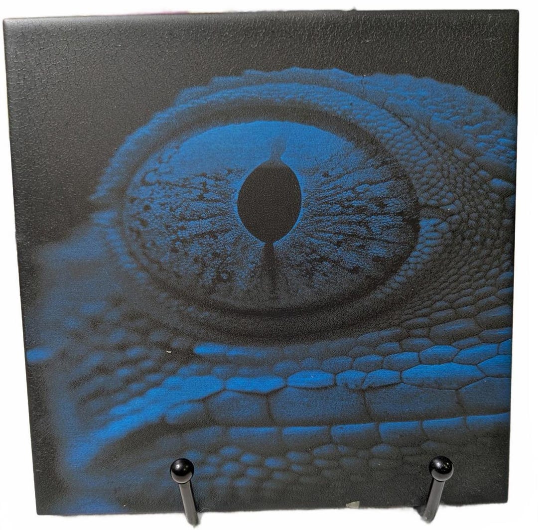 Blue Lizard Reptile Eye Laser Engraved 6x6" Ceramic Tile Art W/fabric ...