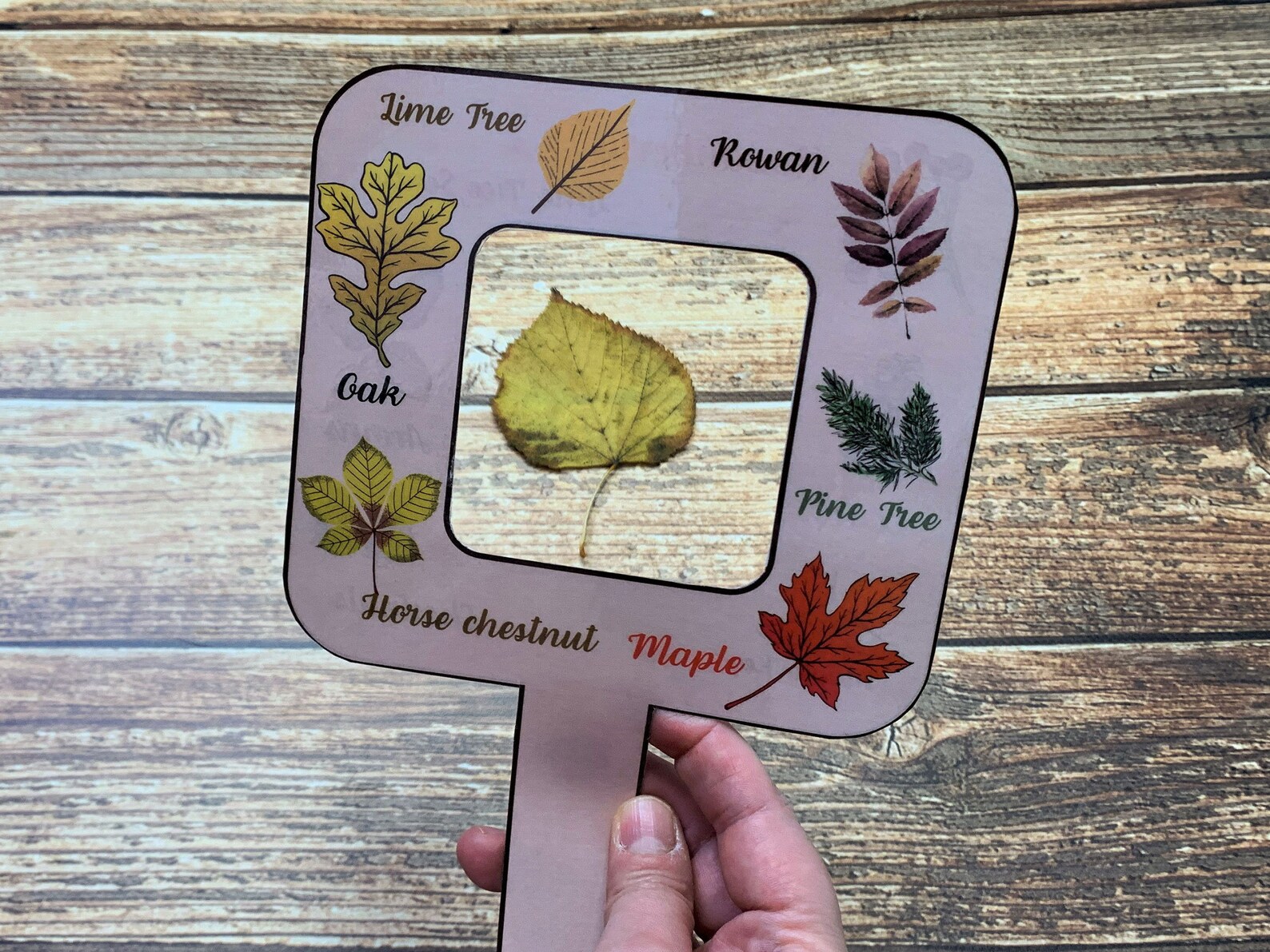 Two-sided Autumn Loop for Types of Trees Learning, Homeschool ...