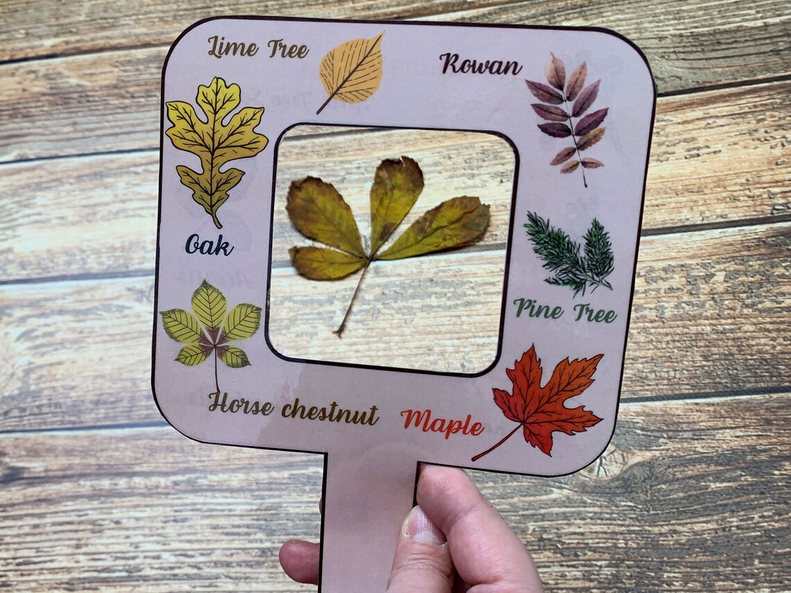 Two-sided Autumn Loop for Types of Trees Learning, Homeschool ...