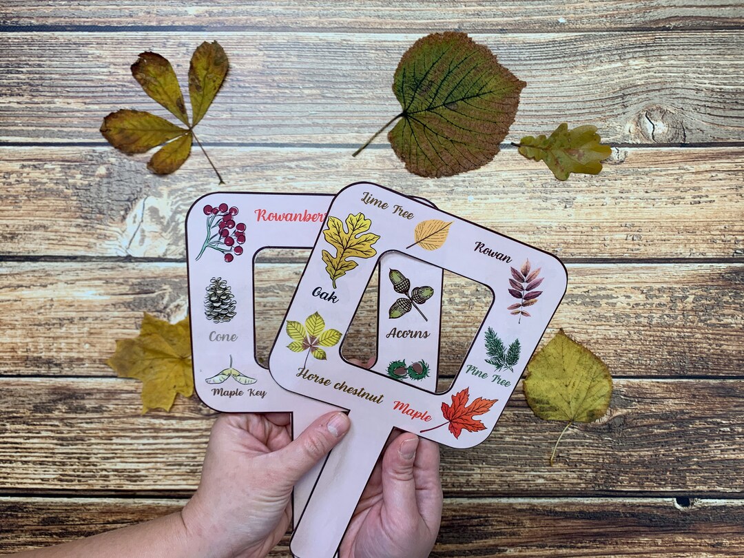 Two-sided Autumn Loop for Types of Trees Learning, Homeschool ...