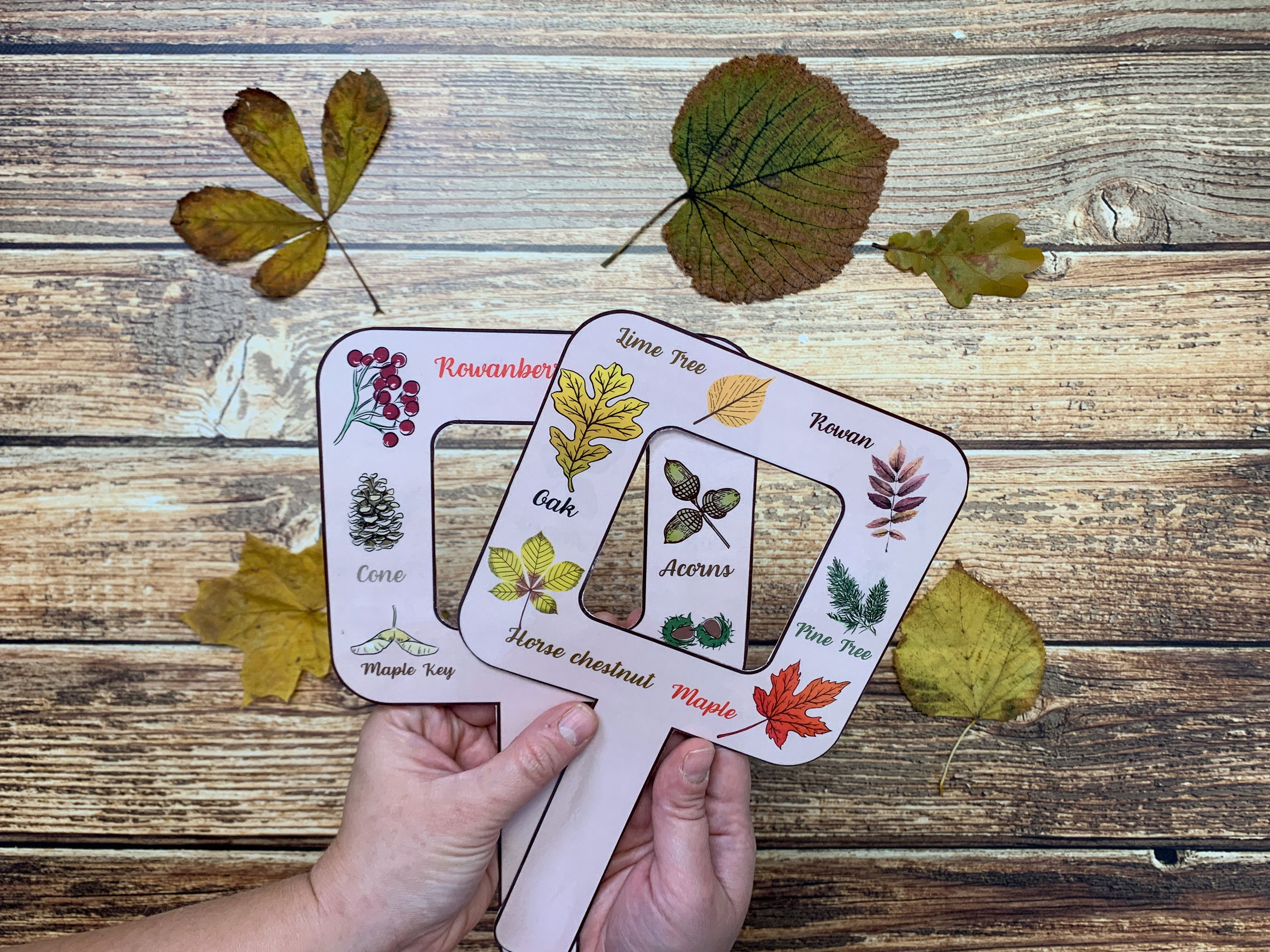 Two-sided Autumn Loop for Types of Trees Learning, Homeschool ...