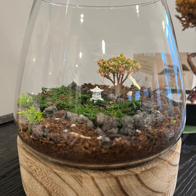 Large Glass Terrarium - Etsy