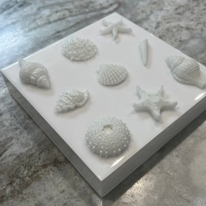 Seashell Resin Art: Nautical Wall Decor Sculpture (8x8x1). - Etsy