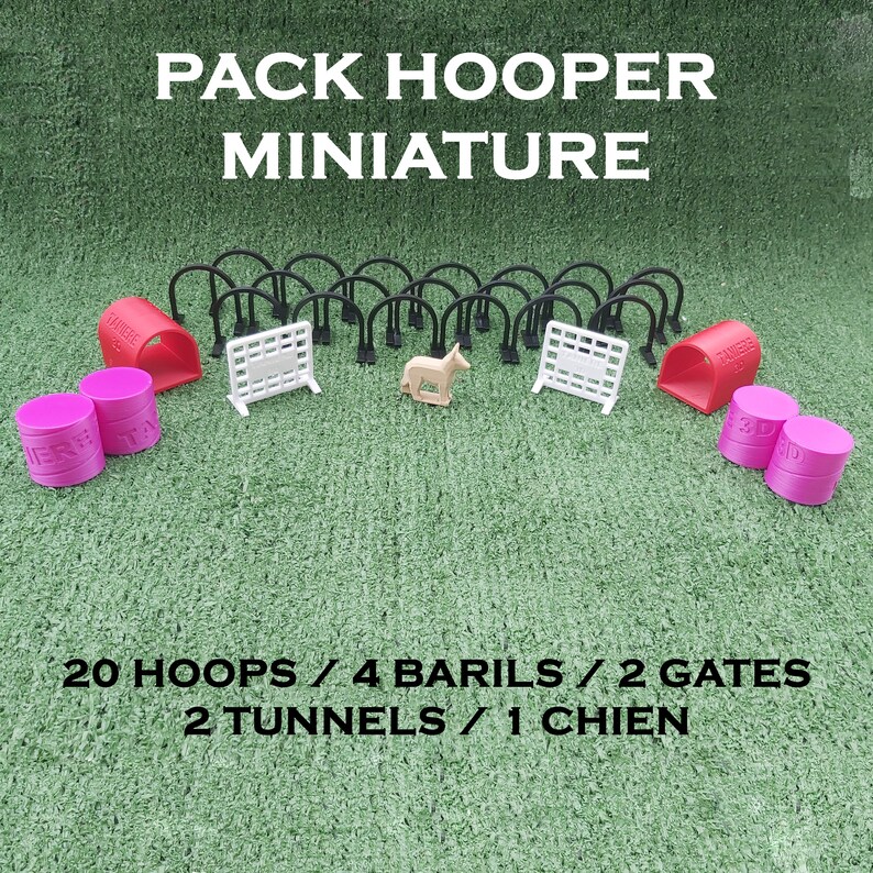 Hooper Agility Training Course for Dogs in Miniature 3D - Etsy