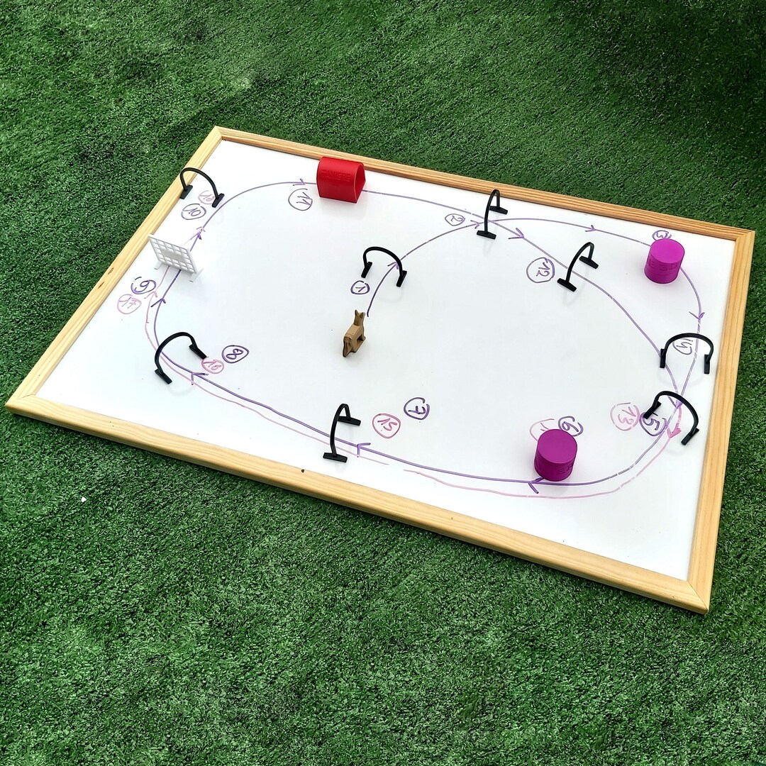 Hooper Agility Training Course for Dogs in Miniature 3D - Etsy