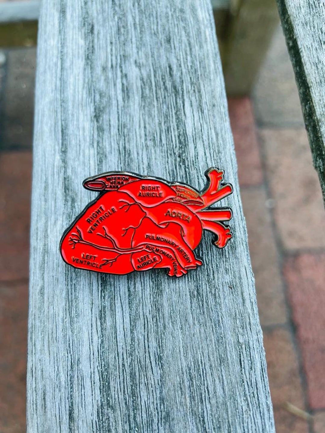 Human Organ Heart Enamel Pin Women's Brooch Decorative - Etsy